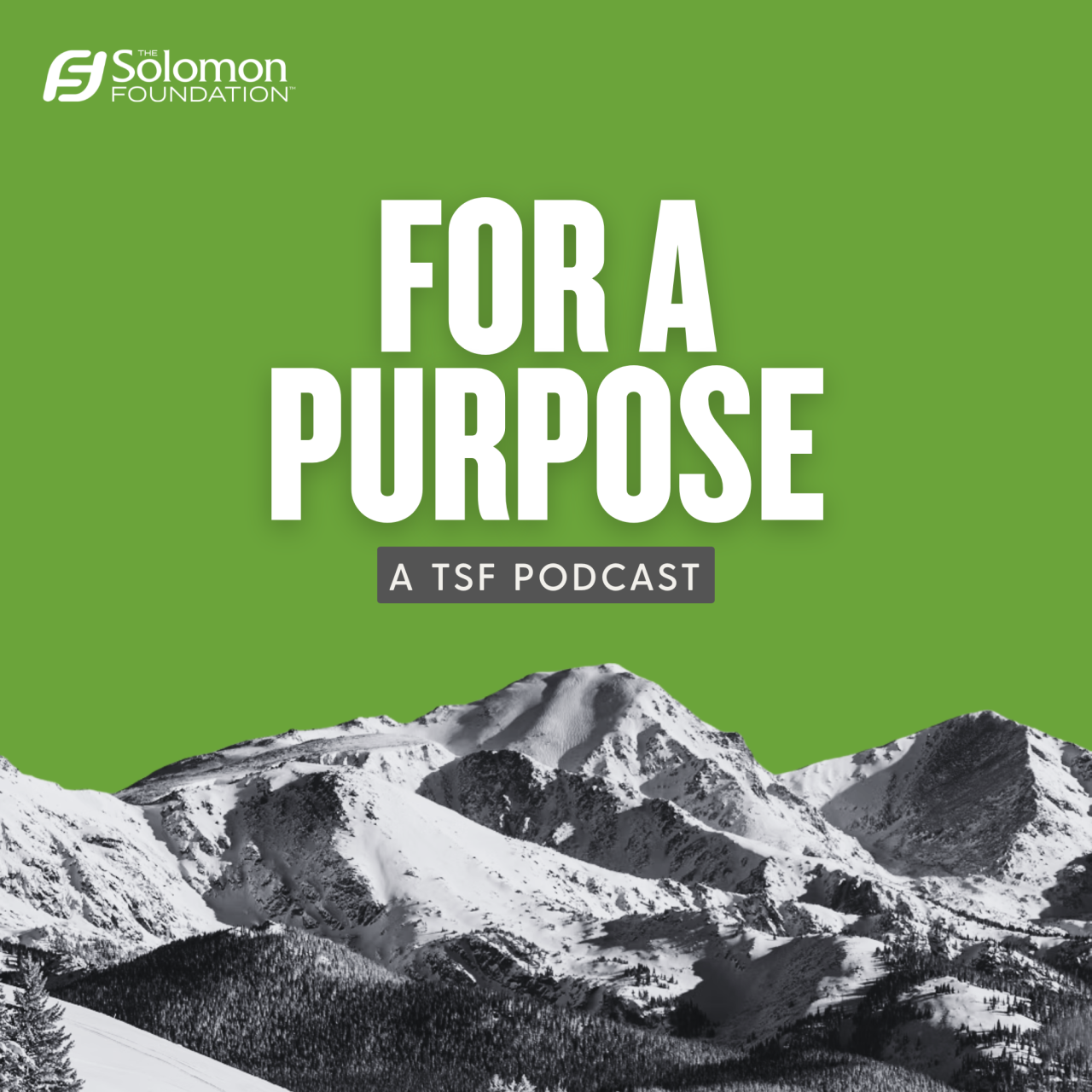 Wisdom for Leaders: Q&A - The Solomon Foundation
